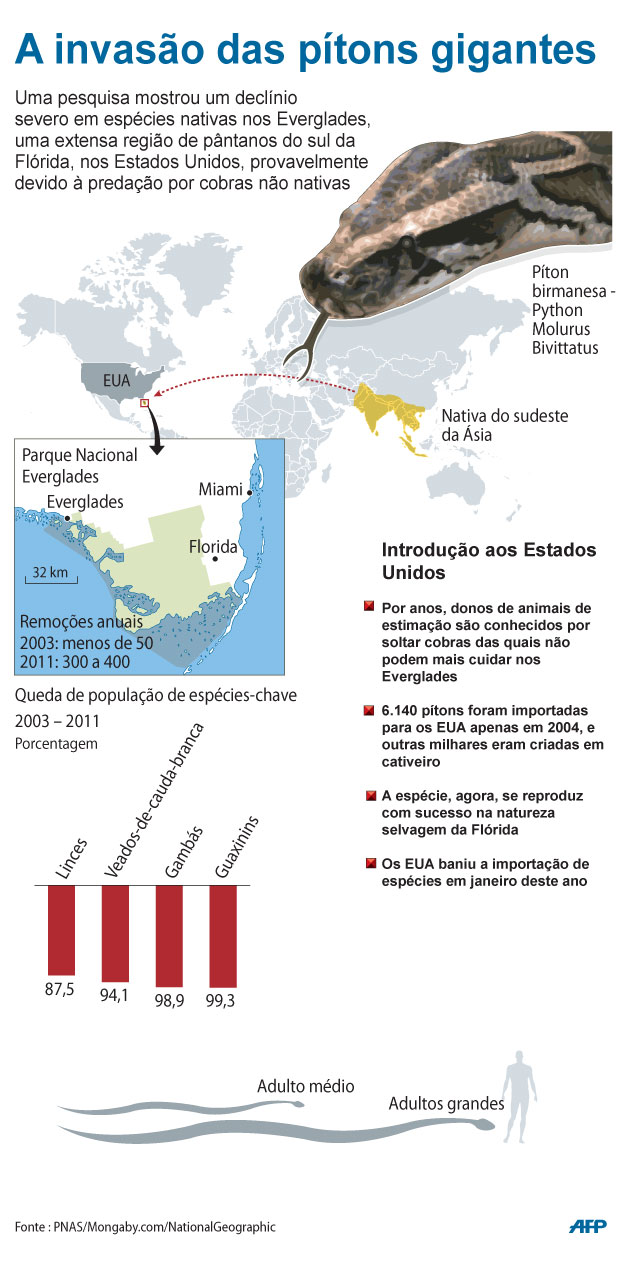 A invasão das pítons gigantes