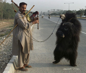 Noticias - O melhor do popular