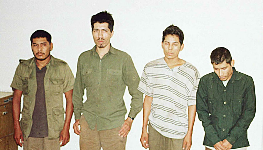 Terra - Infograficos